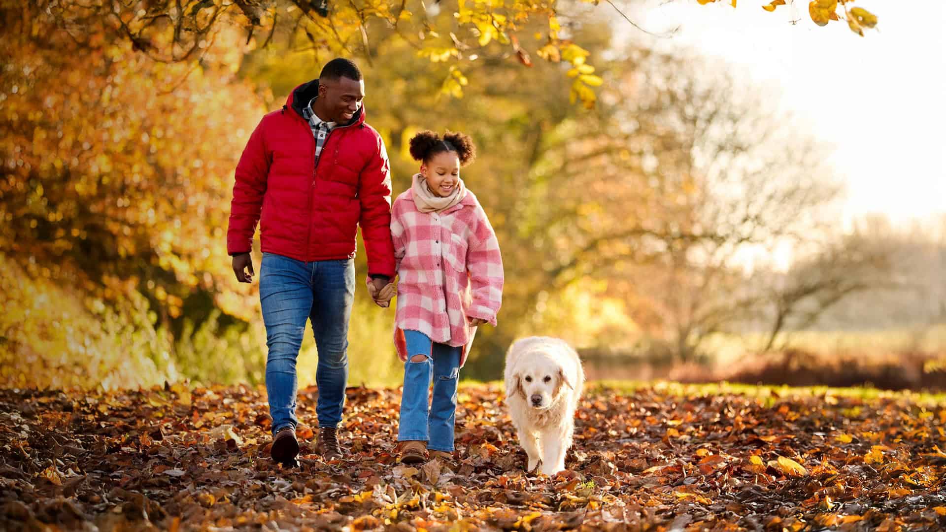 The BIG Dog Walk Challenge - Martin House